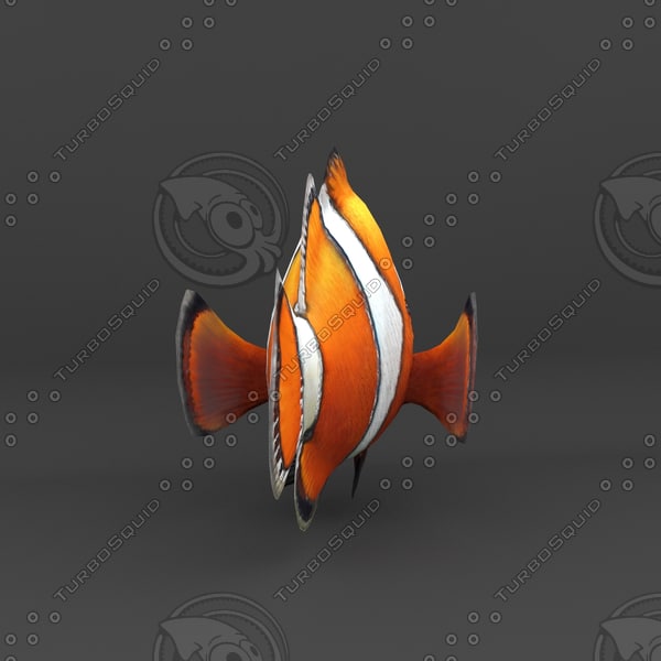 3d fish animation