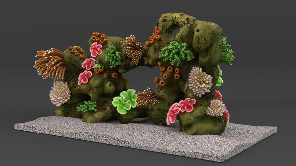 3d coral reef fishes model