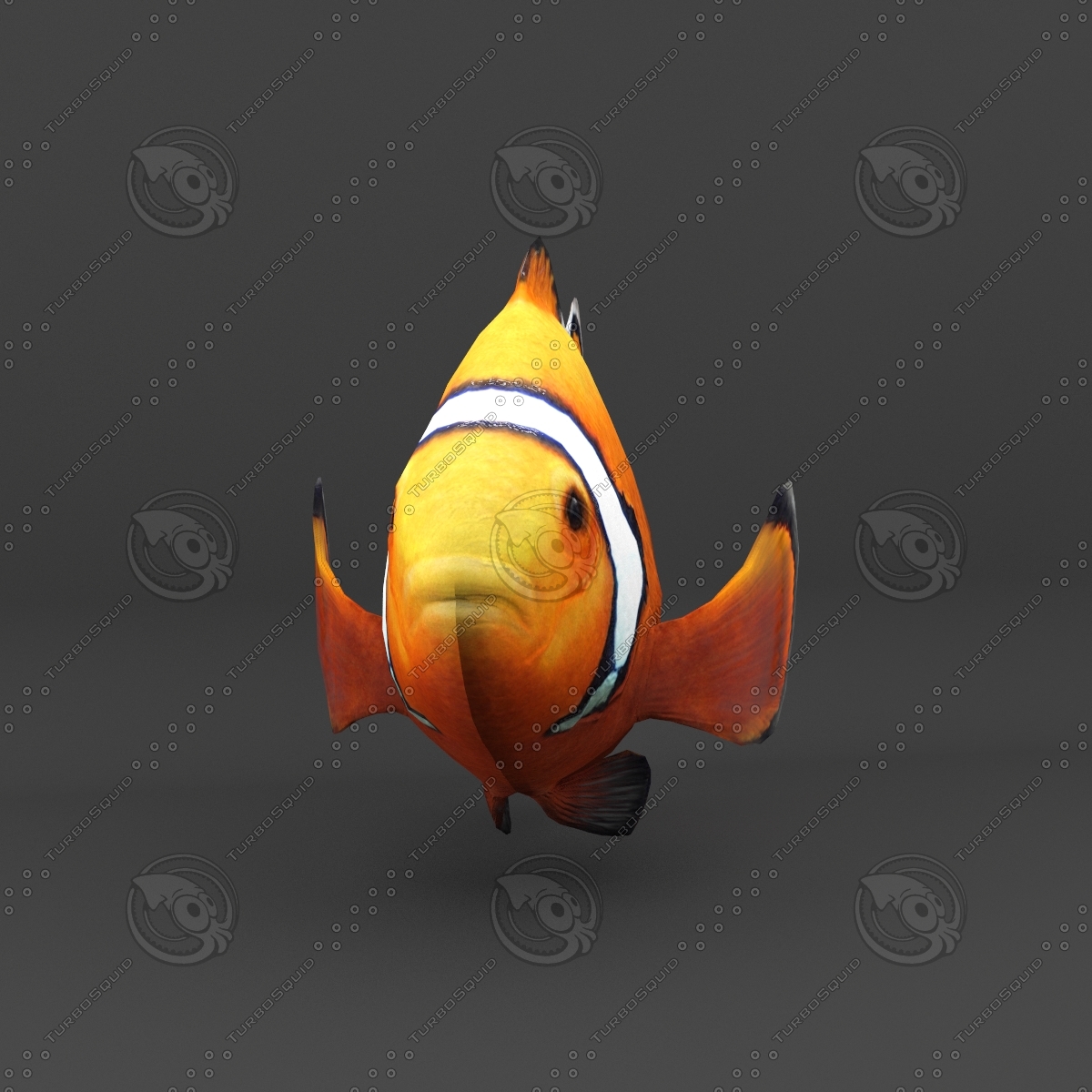 3d fish animation