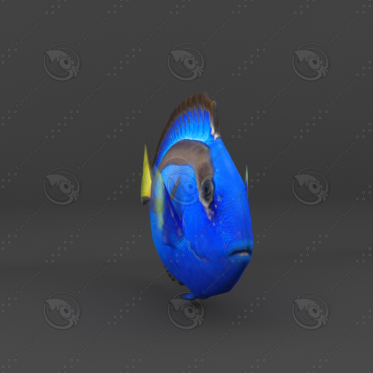 maya fish animation