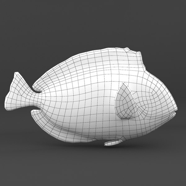 3d coral reef fishes model