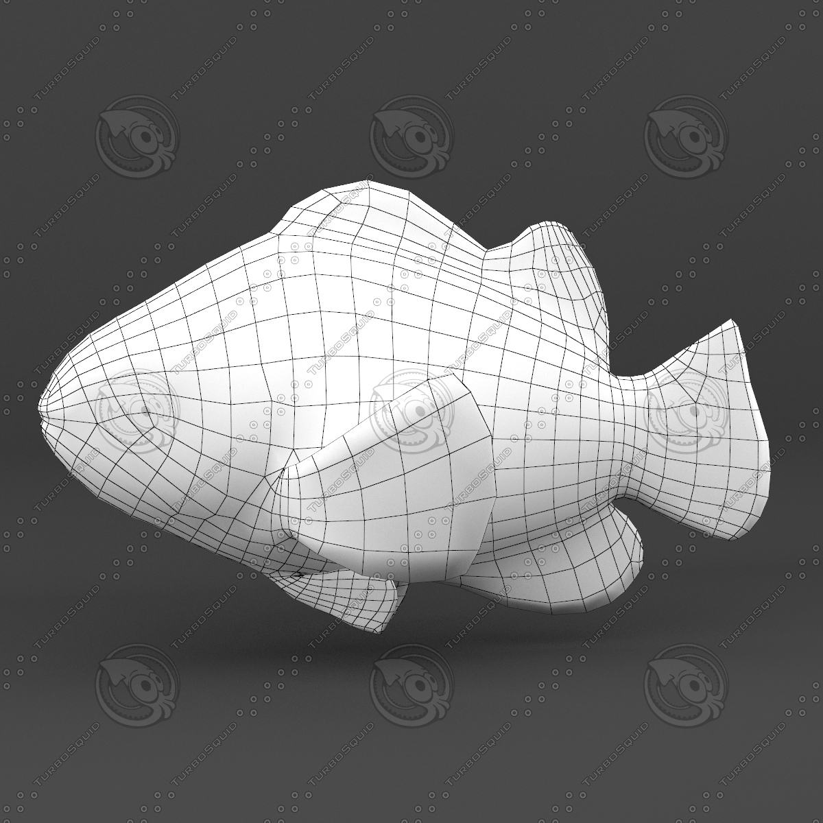 3d fish animation