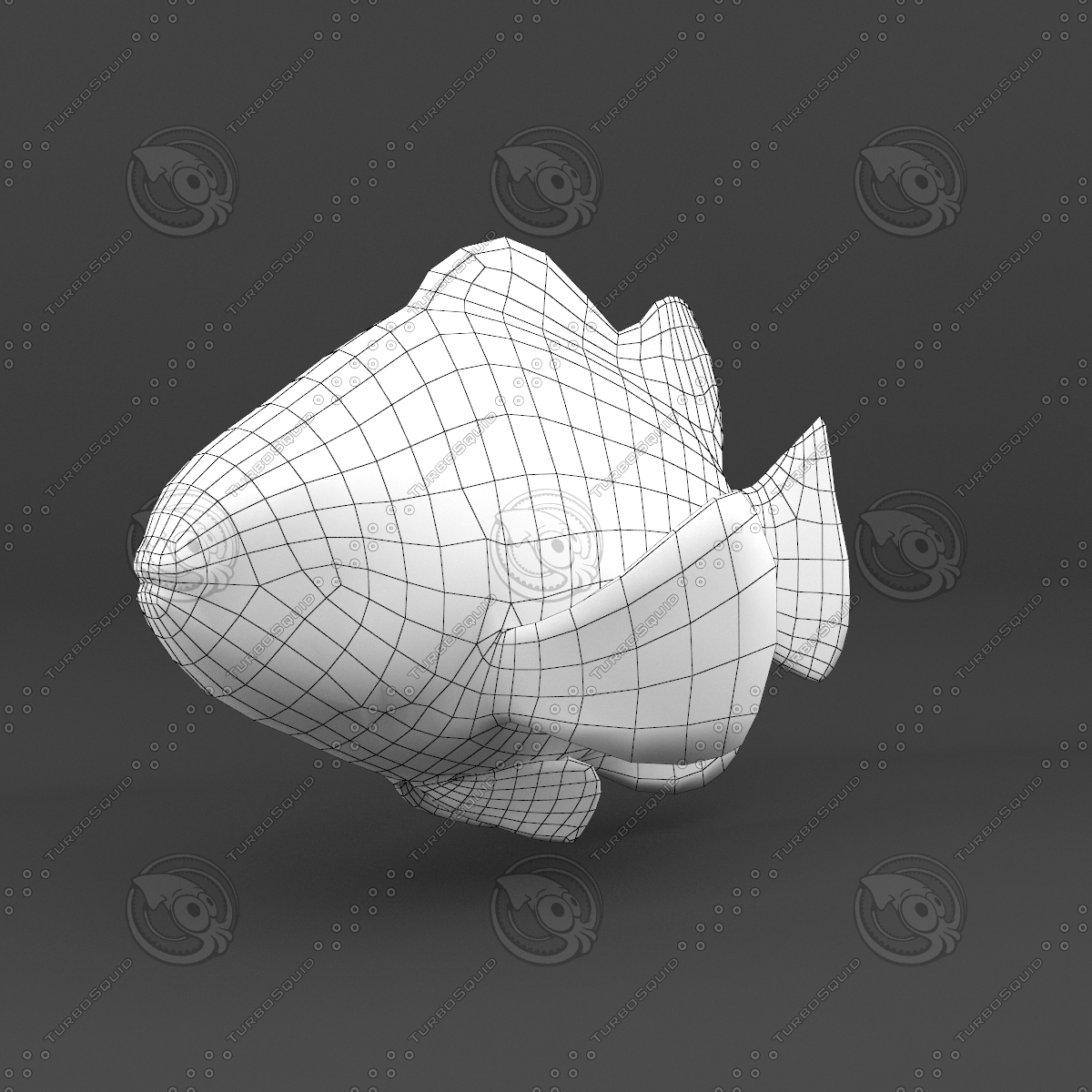 3d fish animation