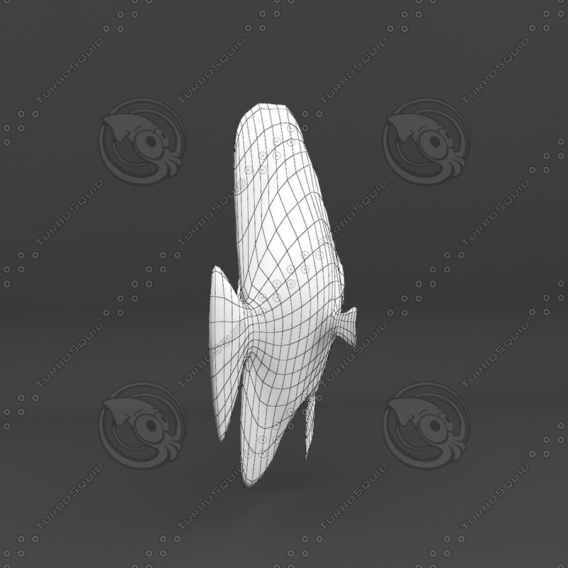 fish animation 3d model