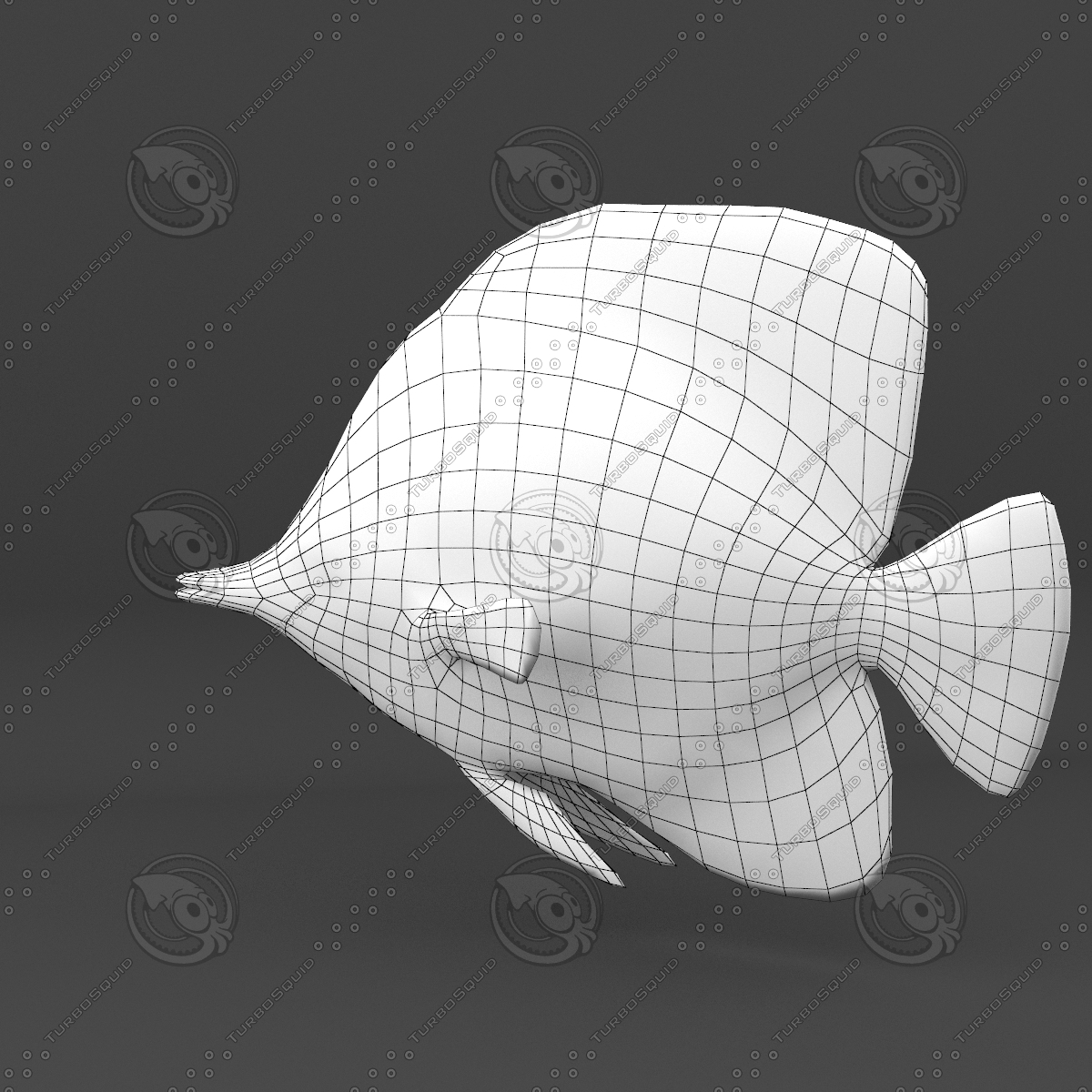 fish animation 3d model