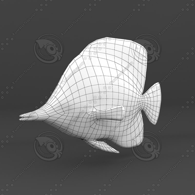 fish animation 3d model