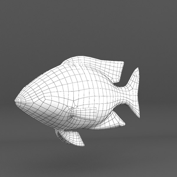 3d coral reef fishes model