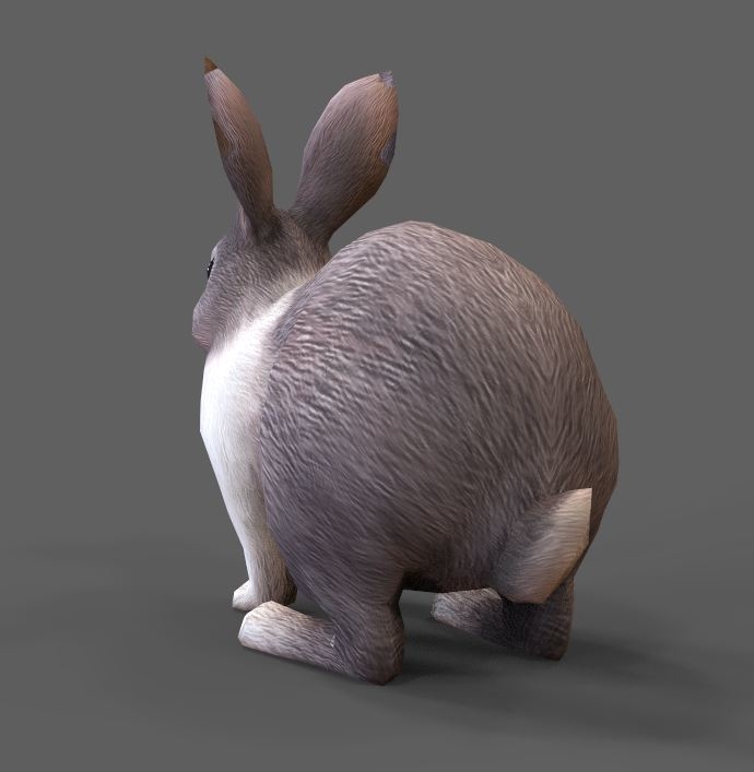rabbit fbx
