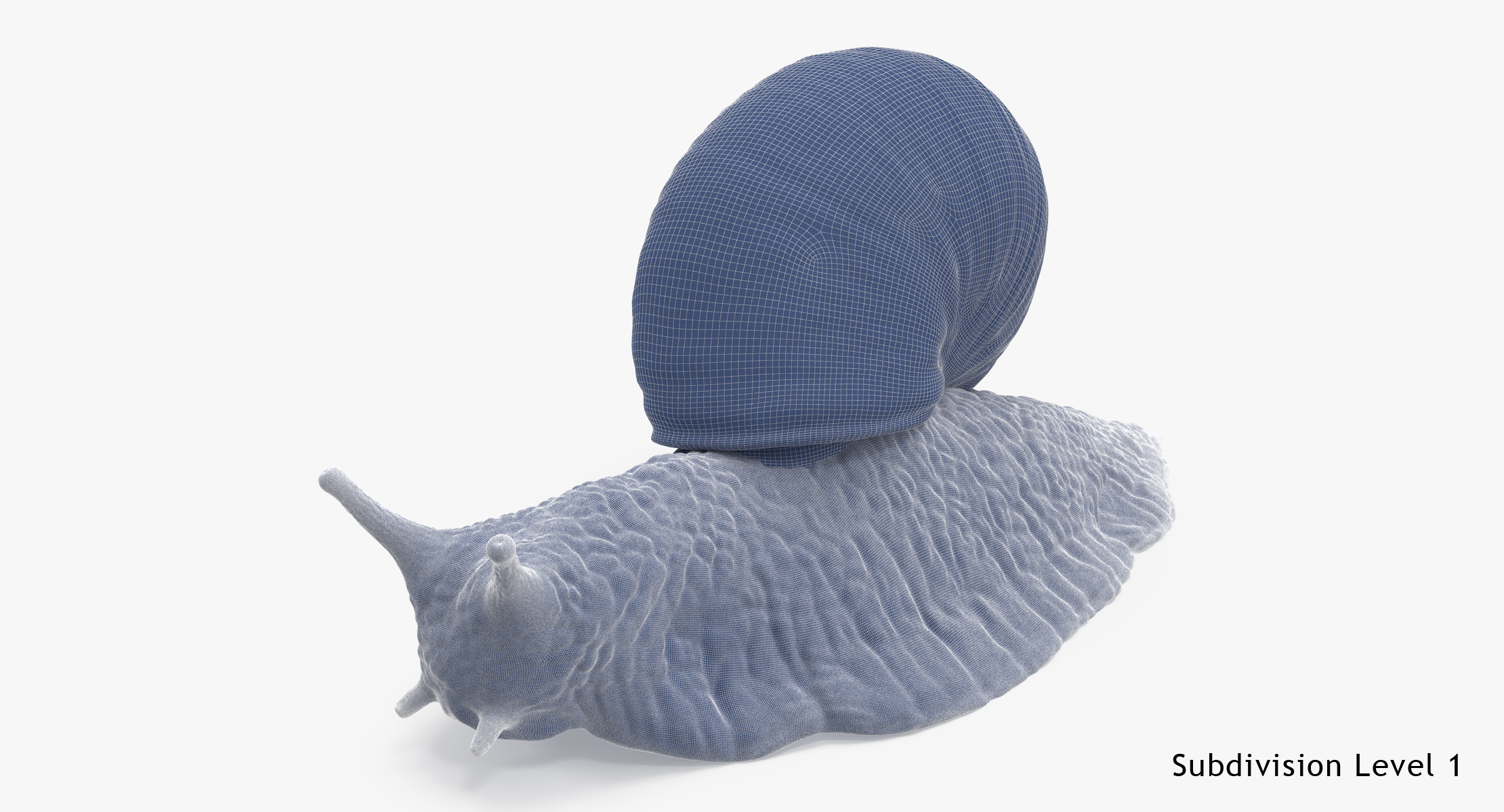 snail 01 3d max