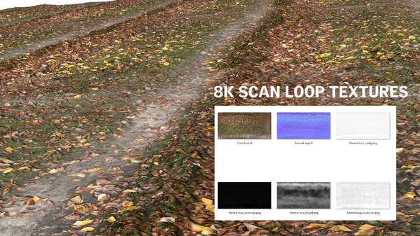 3d model autumn road scanned