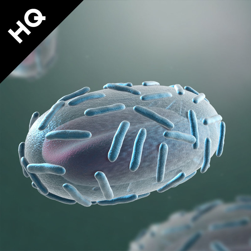 smallpox virus 3d max