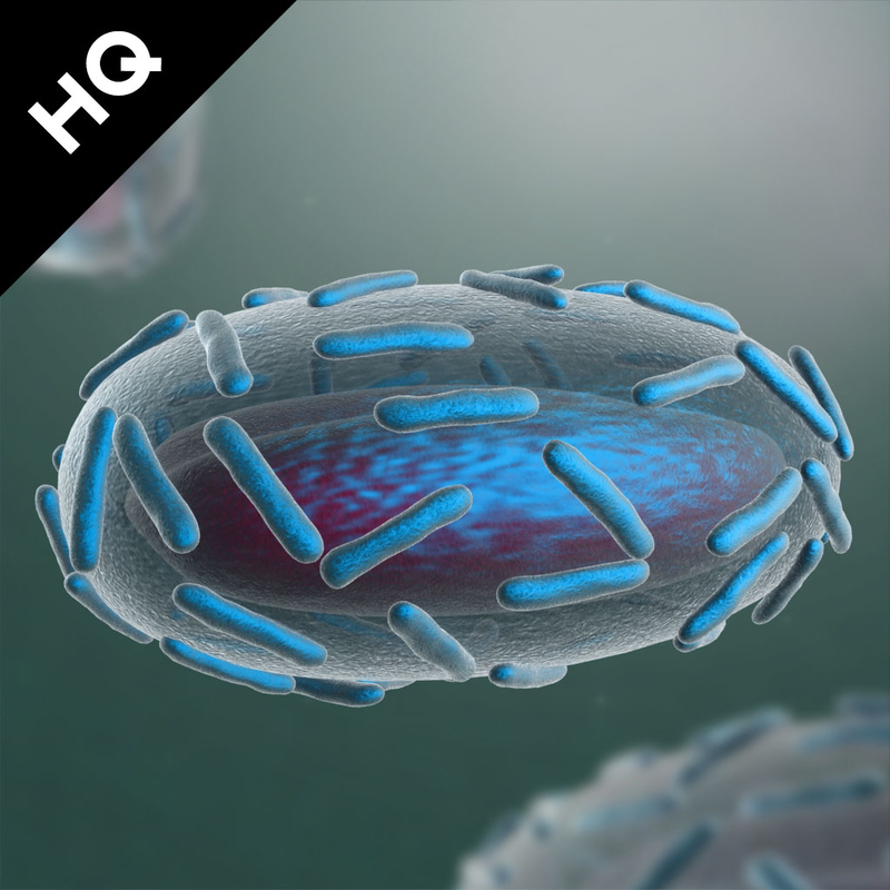 smallpox virus 3d max