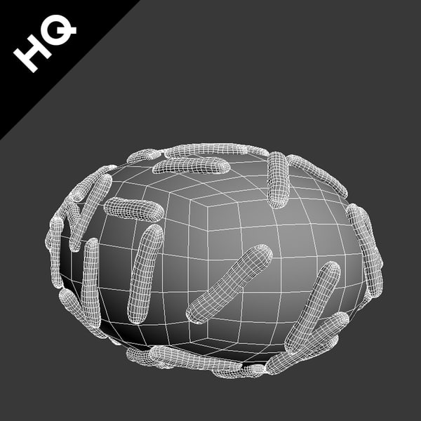 smallpox virus 3d max