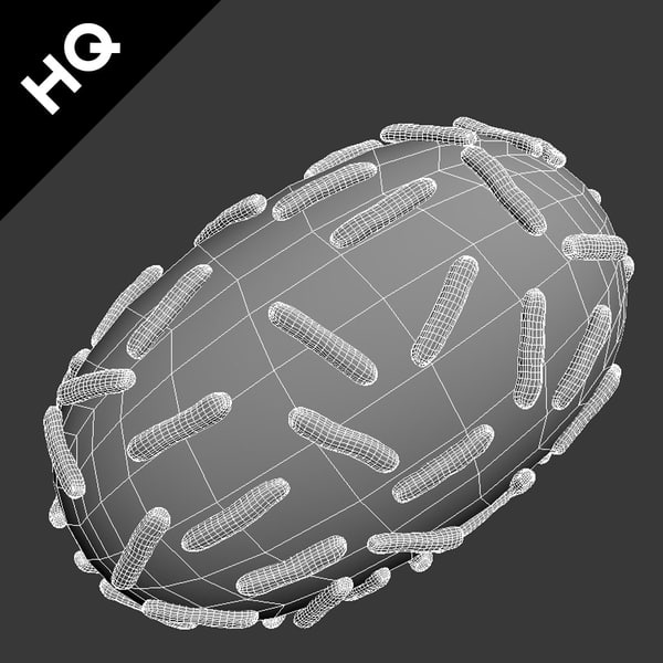 smallpox virus 3d max