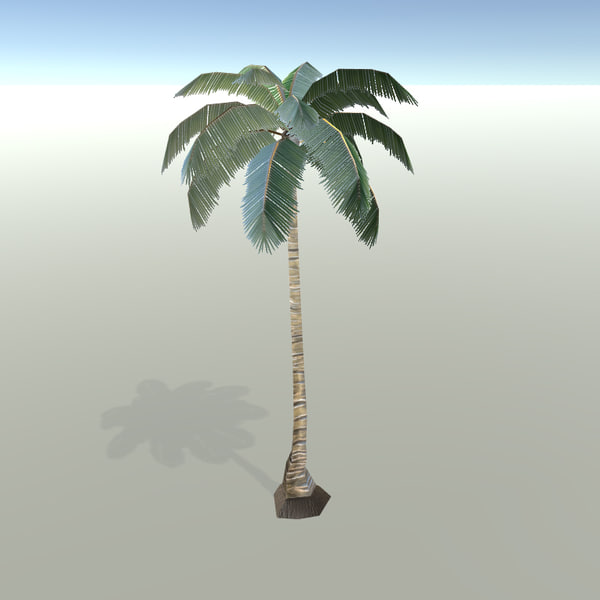 3d model palm tree