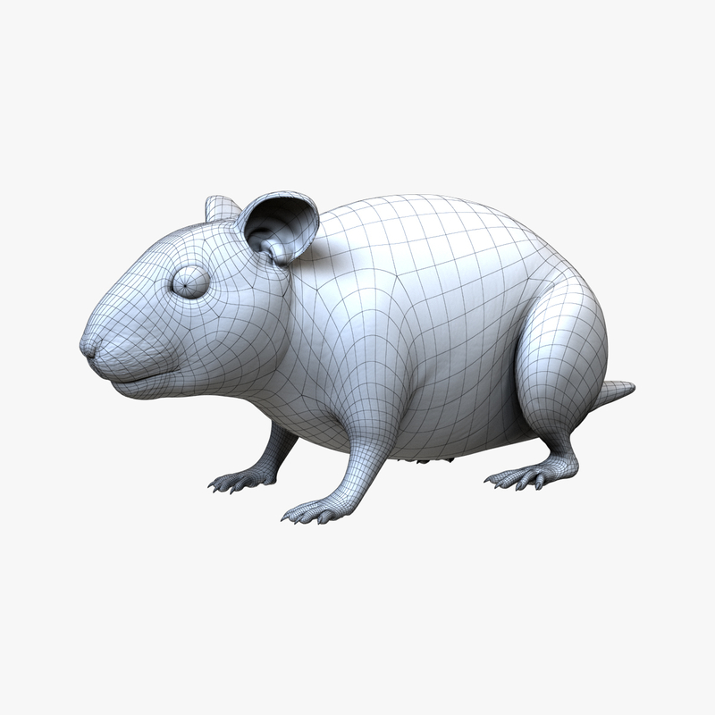 hamster fur 3d model