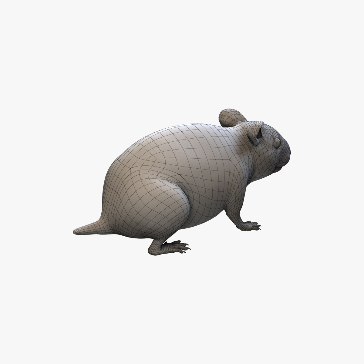 hamster fur 3d model