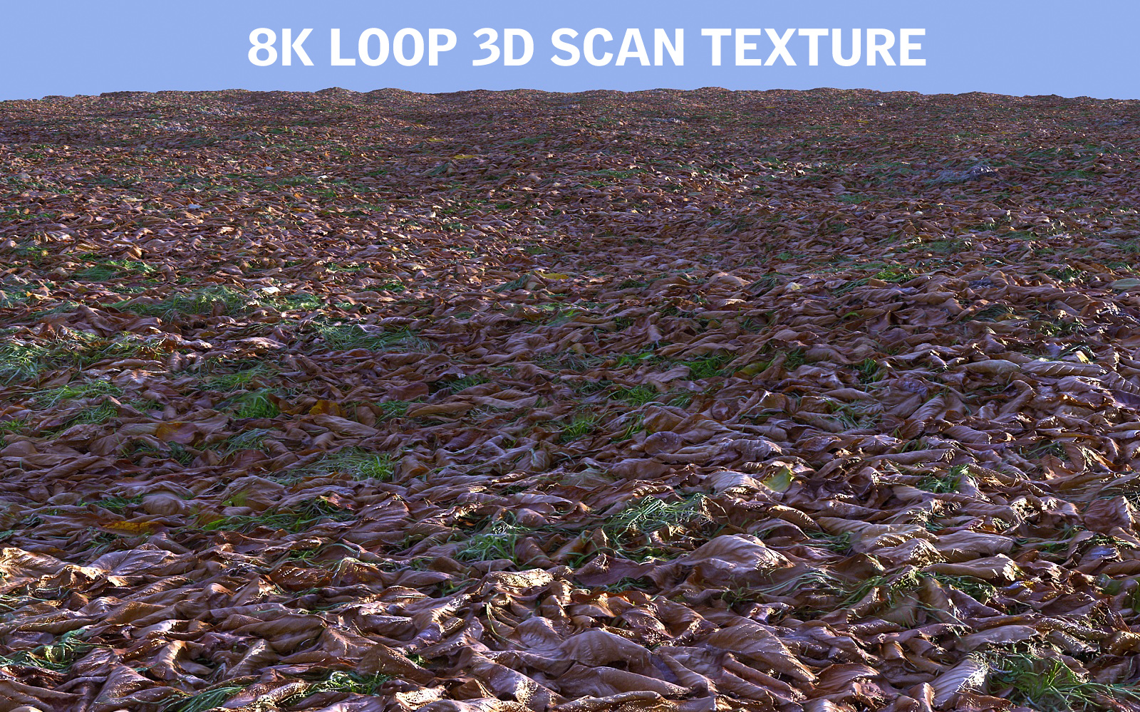 3ds max autumn lawn ground scan