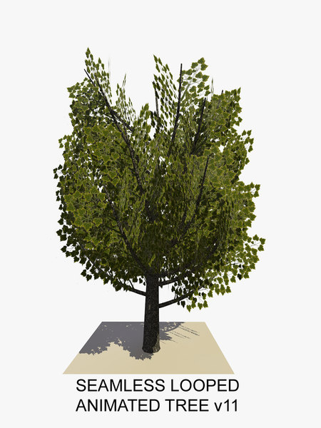 tree animations c4d