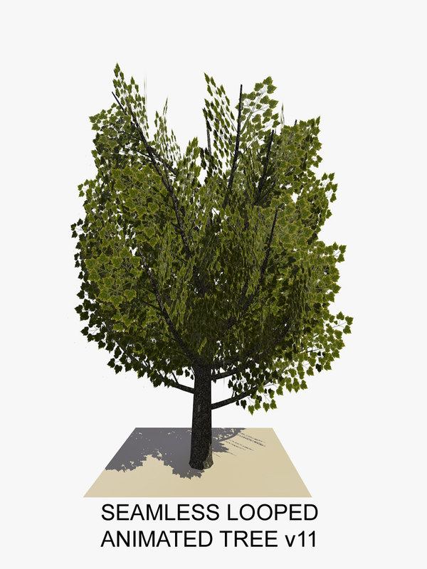 tree animations c4d