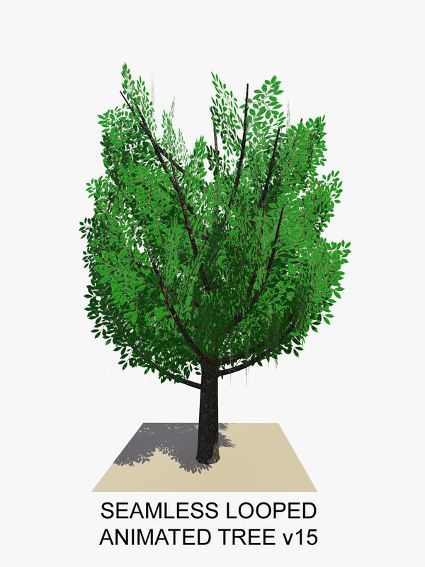 tree animations 3d c4d