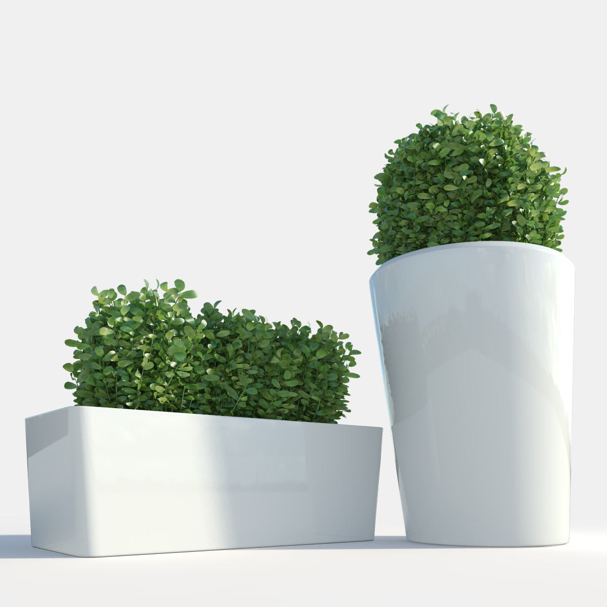 3d model modern bushes