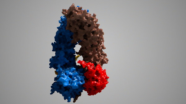 3D Protein Models | TurboSquid