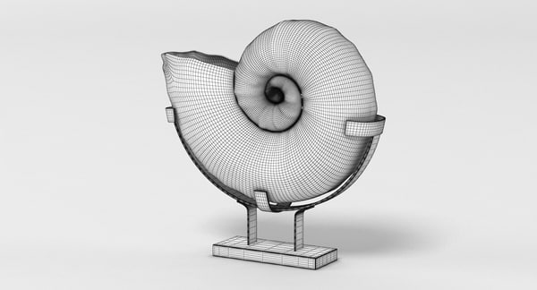 3d nautilus seashell model
