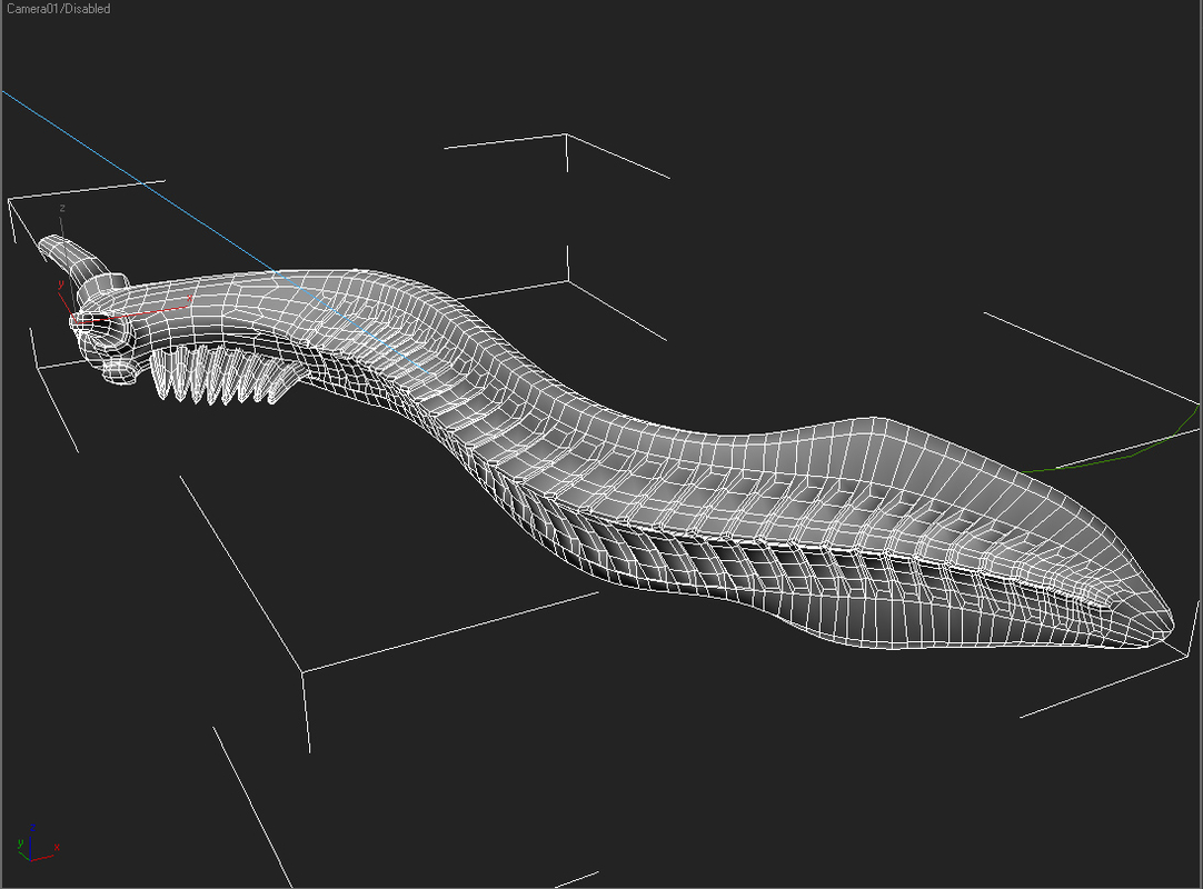 3d model pikaia prehistoric cambrian