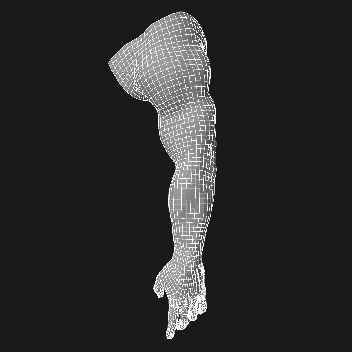 3d complete male arm anatomy
