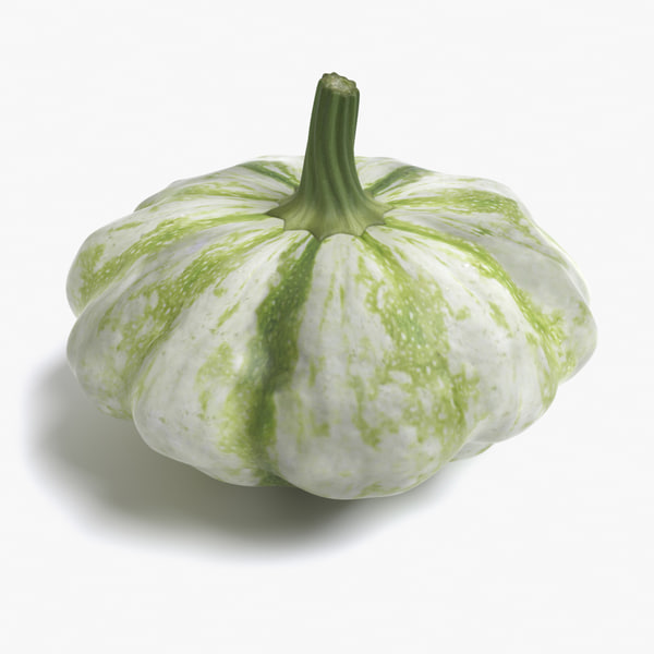 realistic squash max