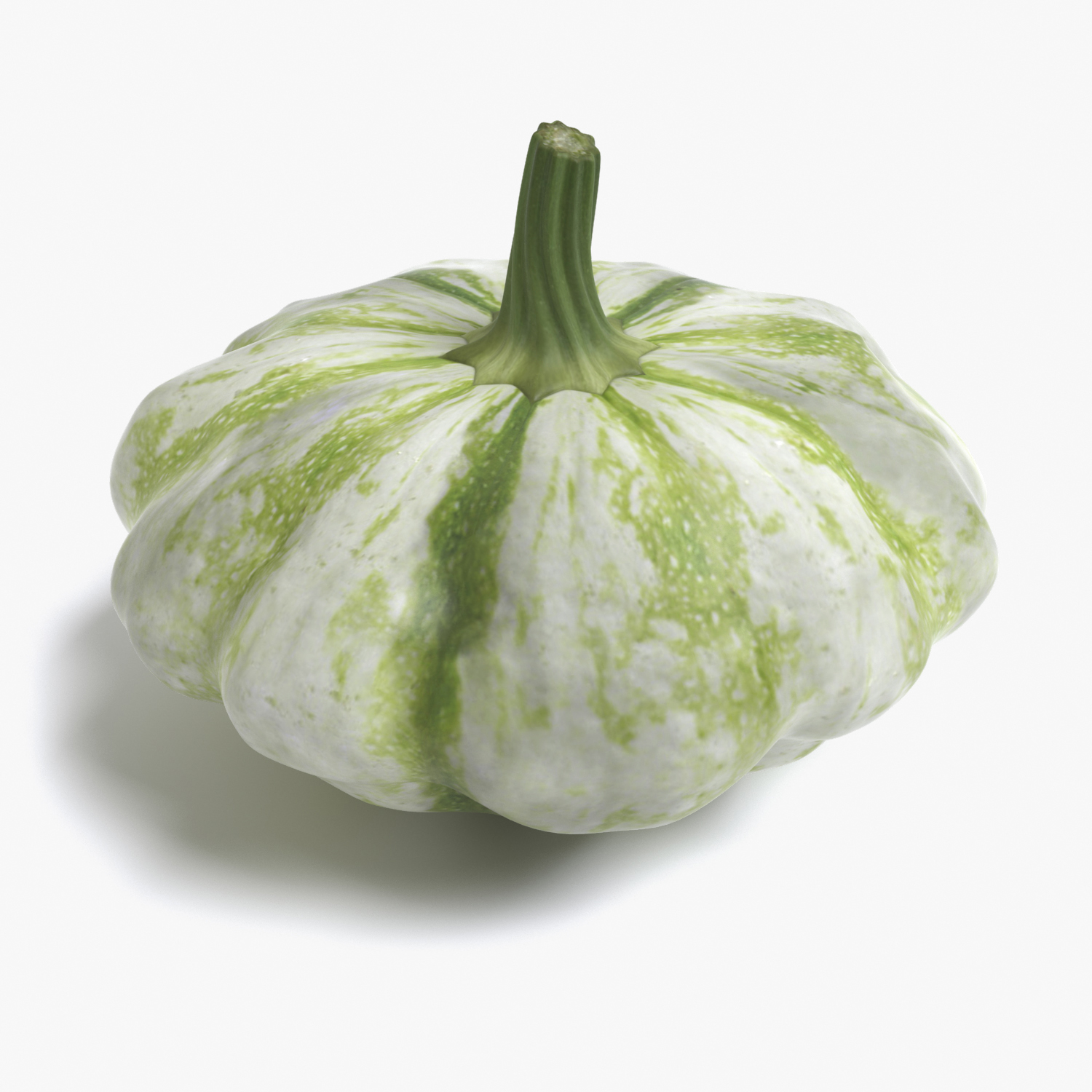 realistic squash max