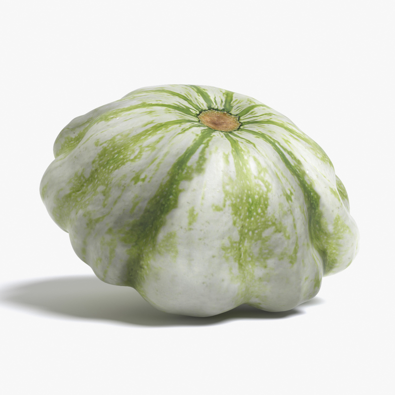 realistic squash max