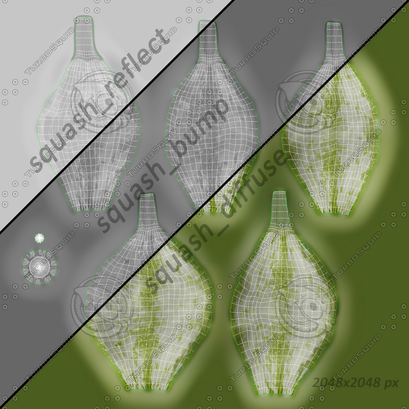 realistic squash max