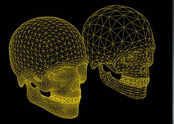 skull human real dxf