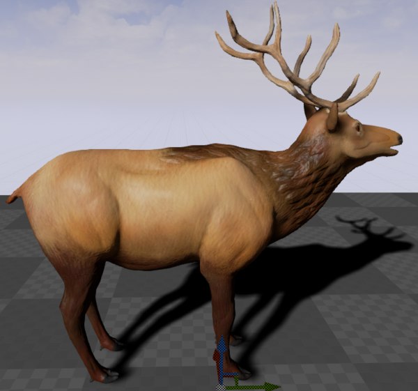 Elk 3D Models for Download | TurboSquid