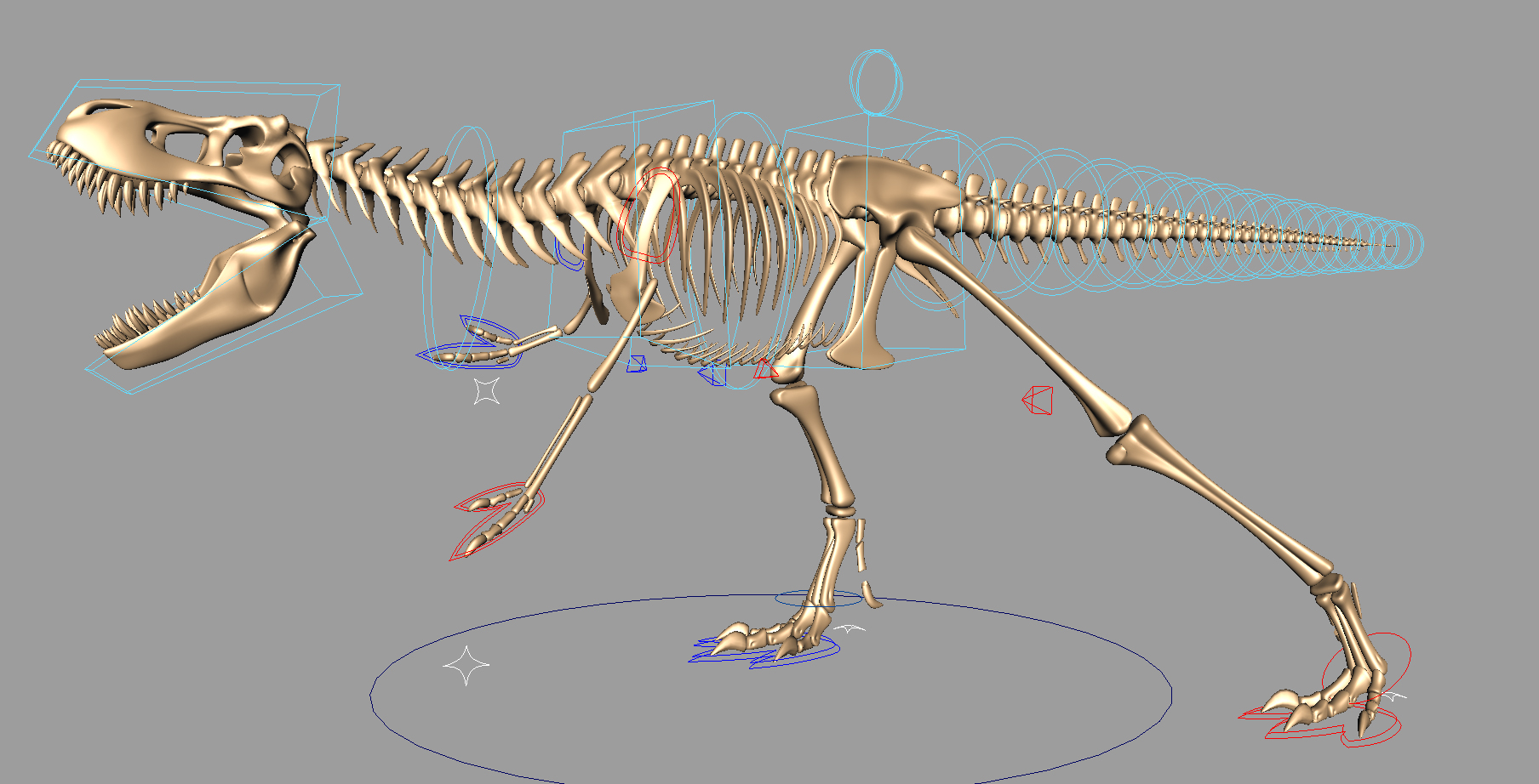 t rex muscle ma