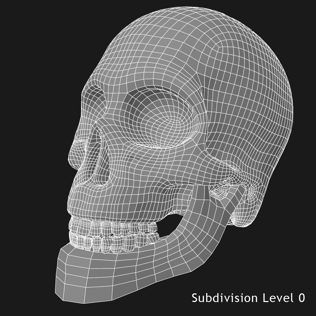 ultimate complete male anatomy 3d model