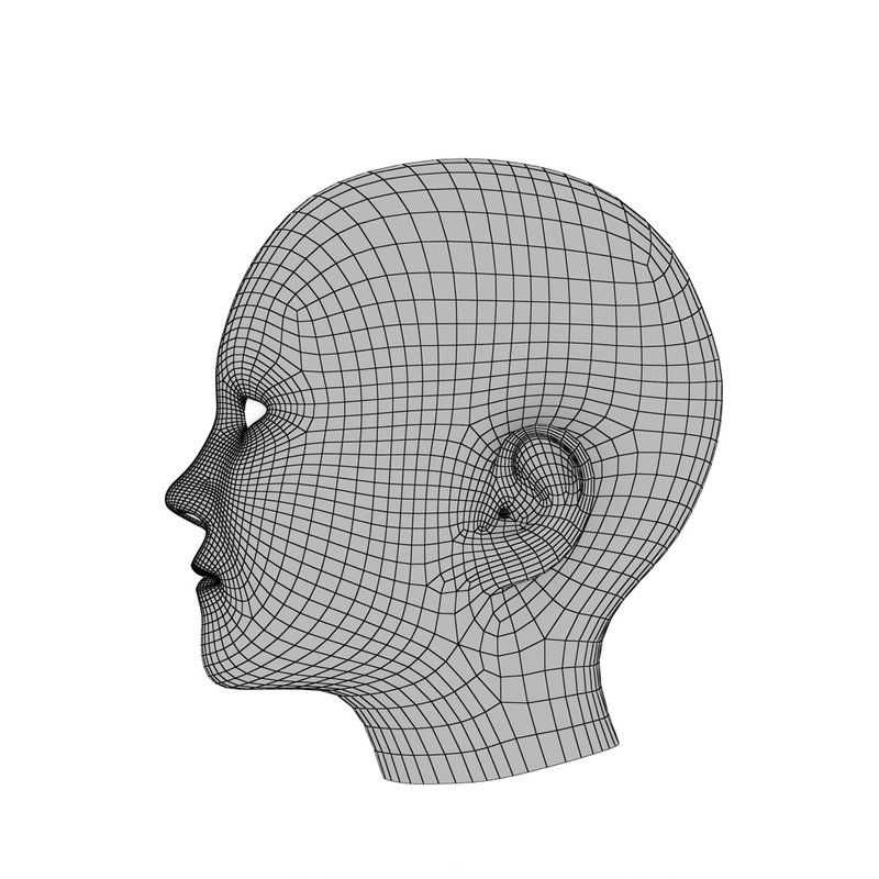 3d head mesh
