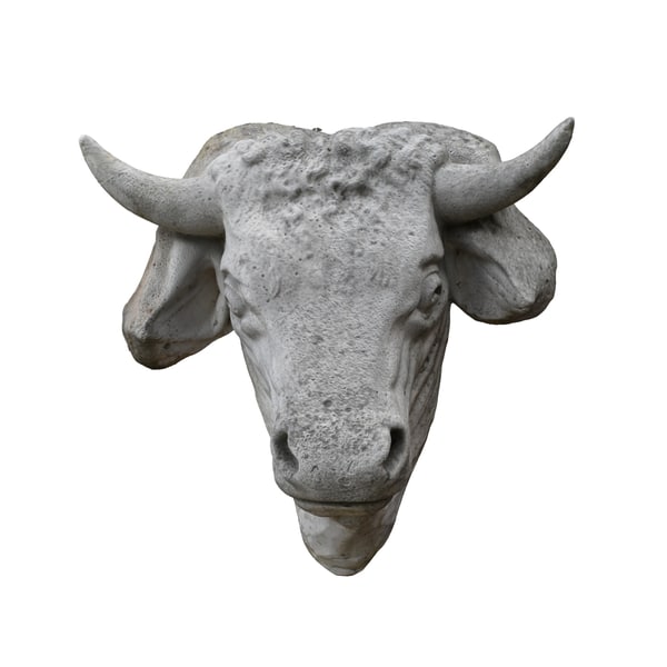 bull head stone max