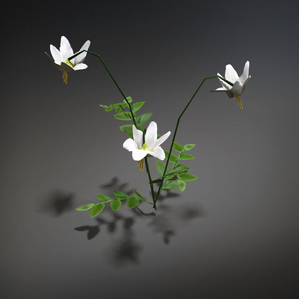 3ds max flowers 16 low-poly icons