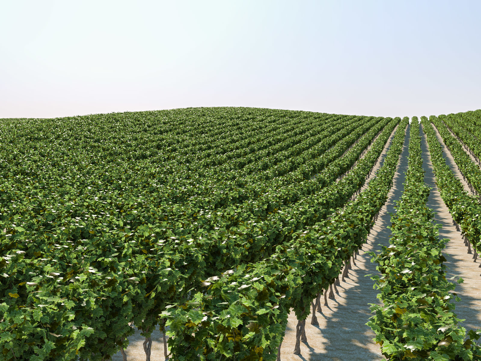 3d model pack vineyard