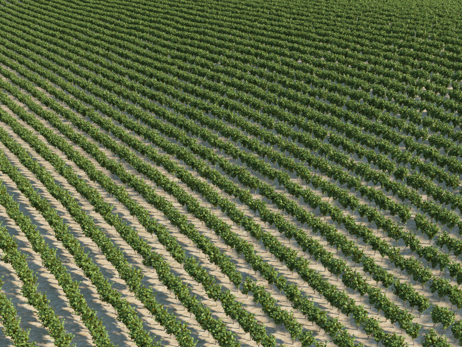 3d model pack vineyard