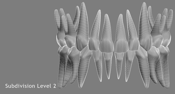 primary teeth dentition max