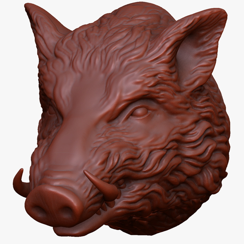 3d boar head