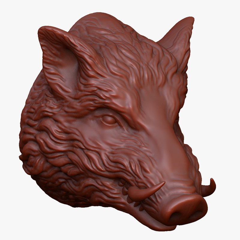 3d boar head