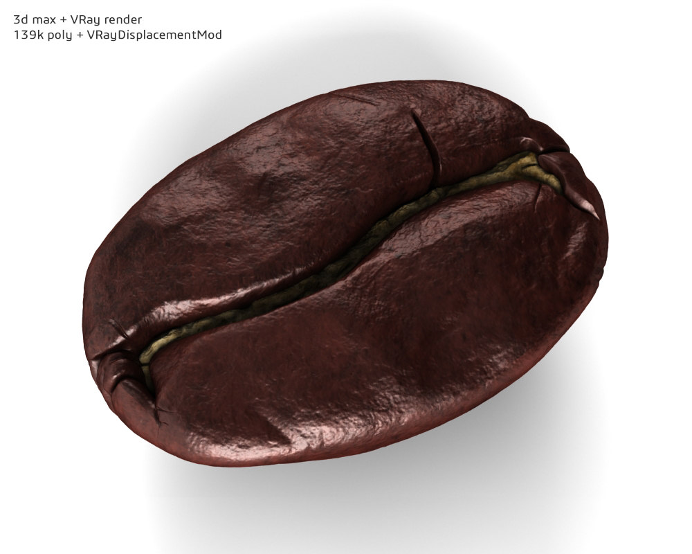 3d model coffee bean