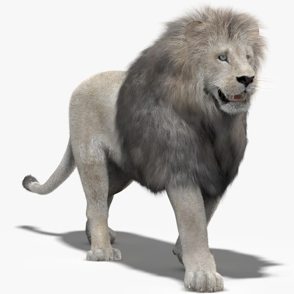 Lion 3D Models for Download | TurboSquid