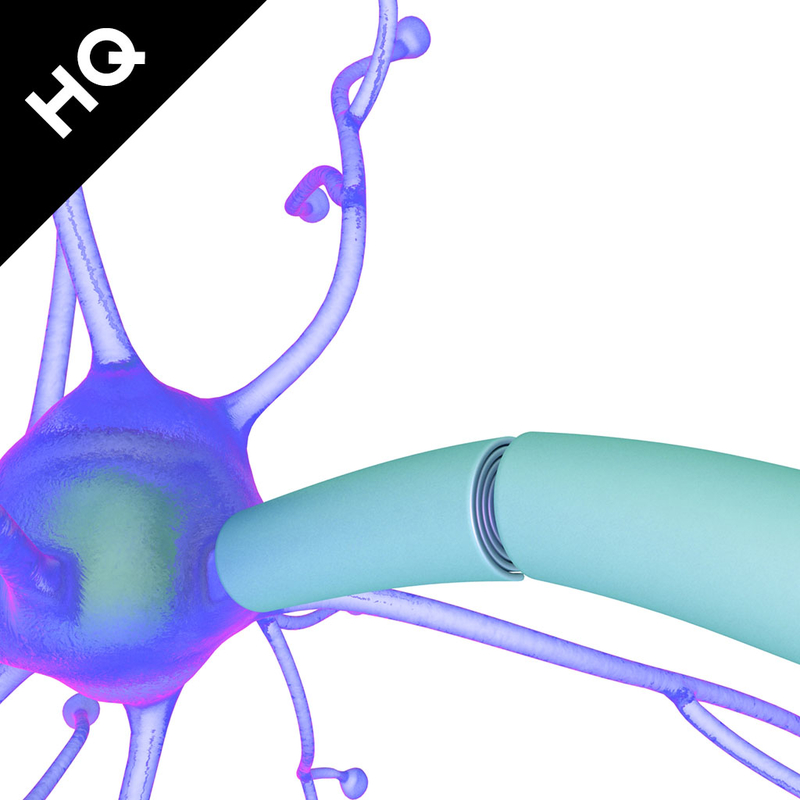 3d model neuron