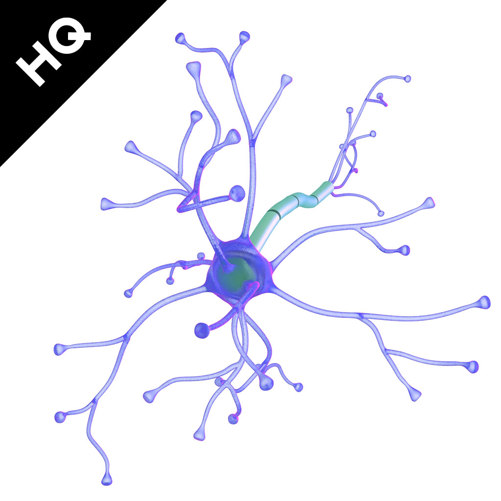 3d model neuron